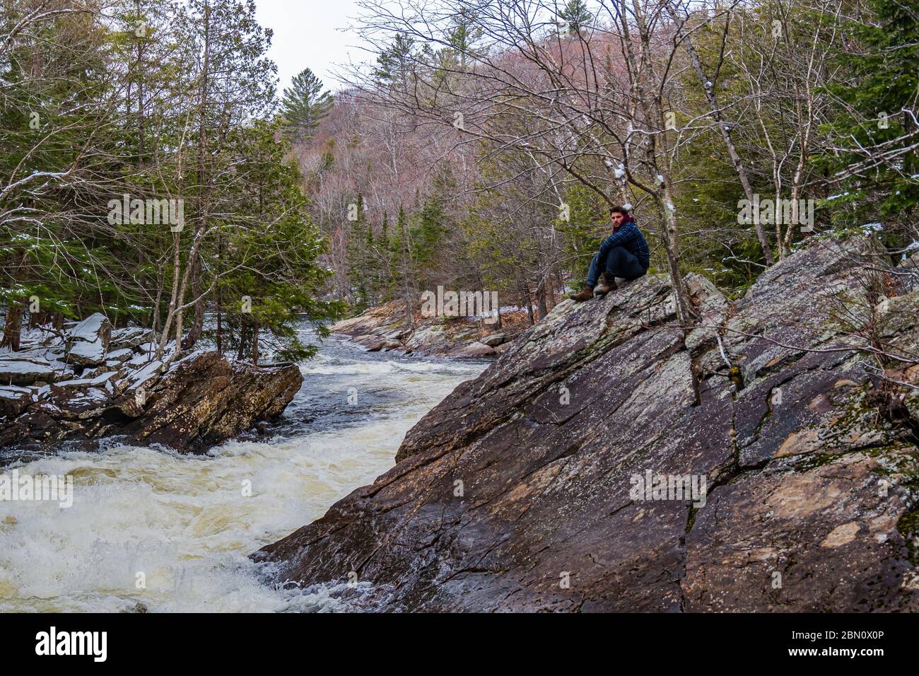 Canadian Forest in winter Stock Photo - Alamy