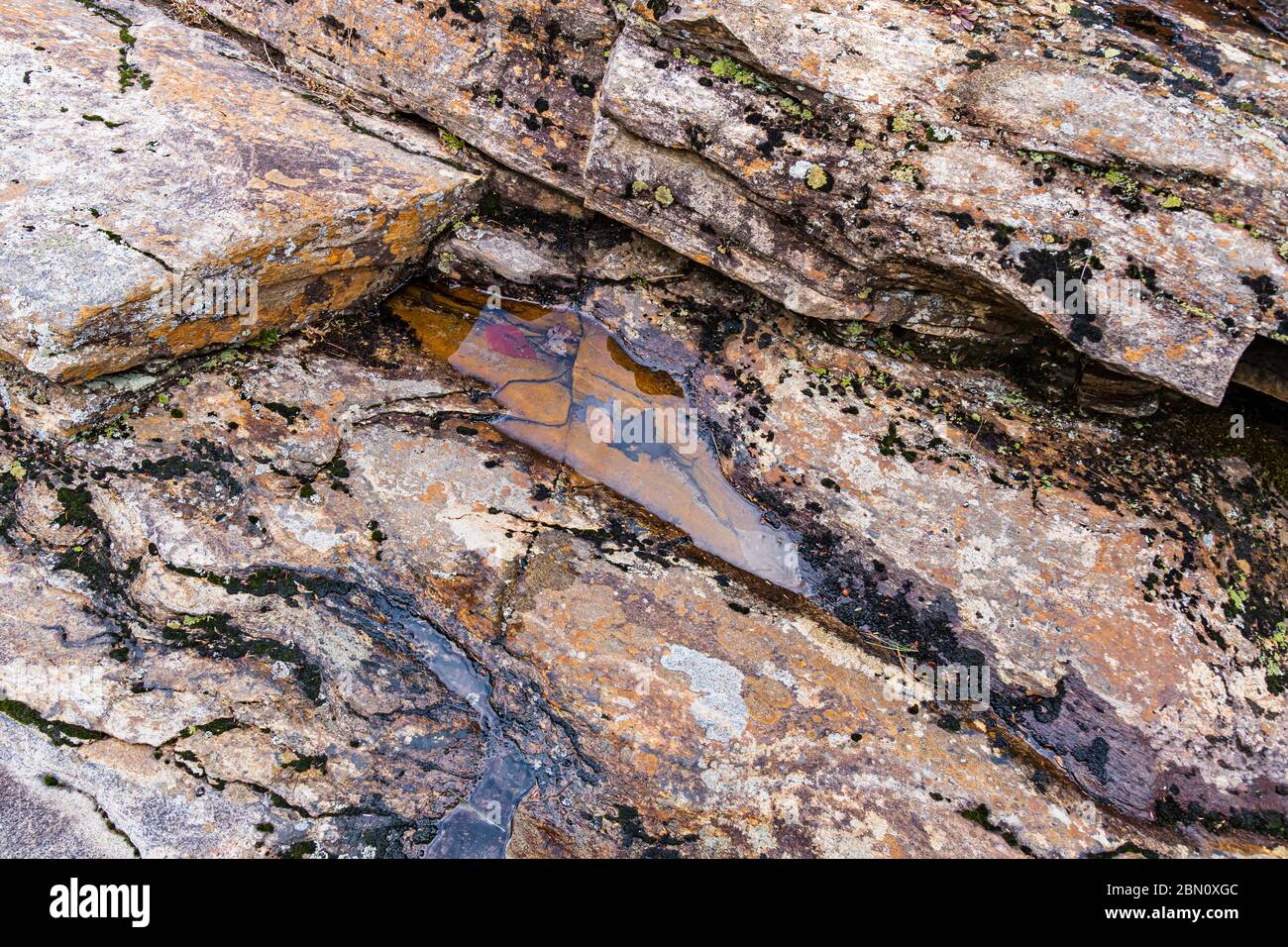 River water close up hi-res stock photography and images - Alamy