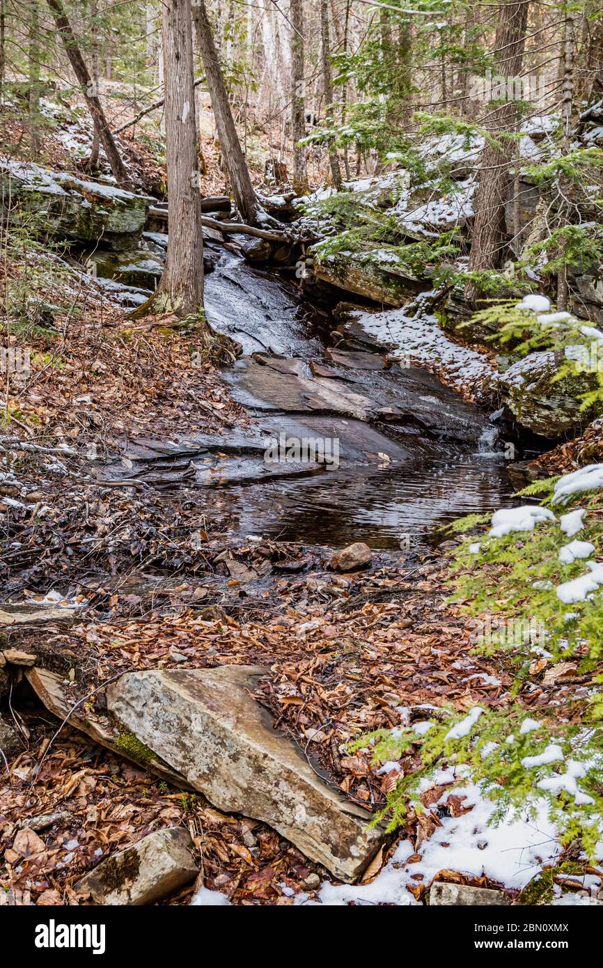 Canadian forest winter hi-res stock photography and images - Alamy