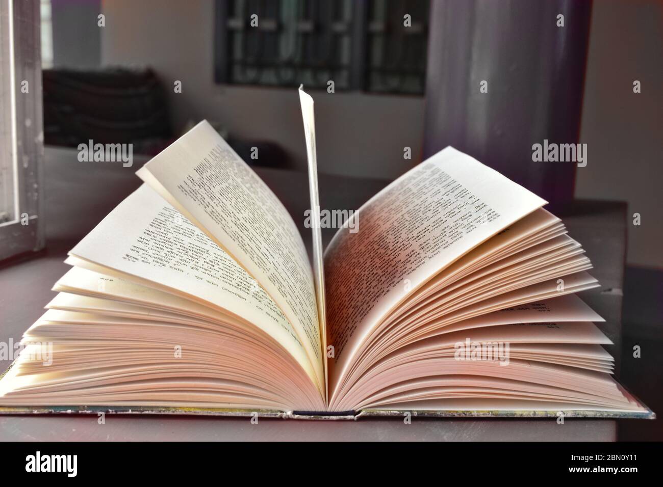 An open book of bengali novels in front of monochrome background. The ...