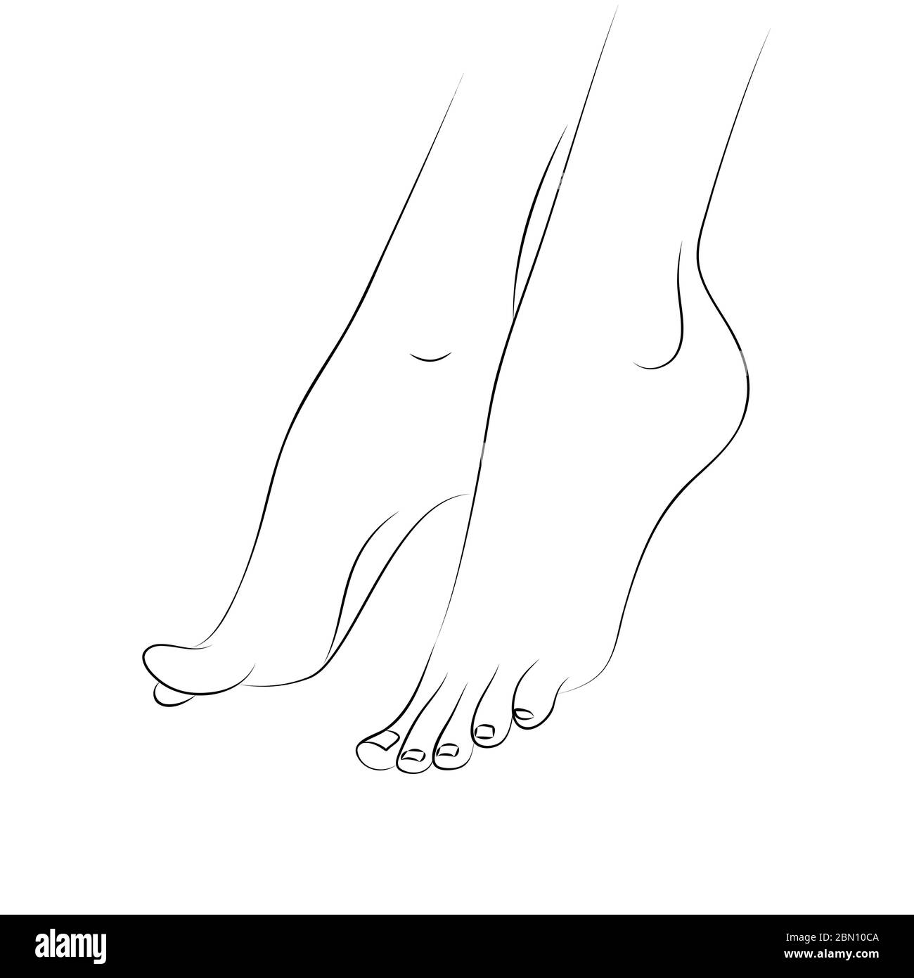 Woman s feet outline vector isolated on white background. Pedicure ...