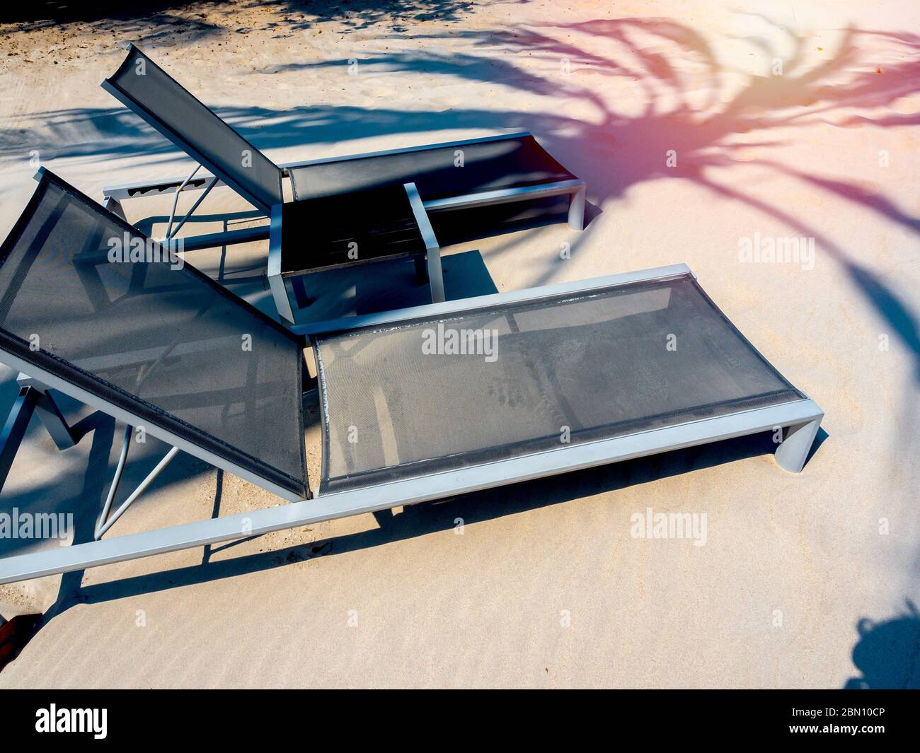 Empty wooden sunbed with coconut palm tree shadow on sand beach ...