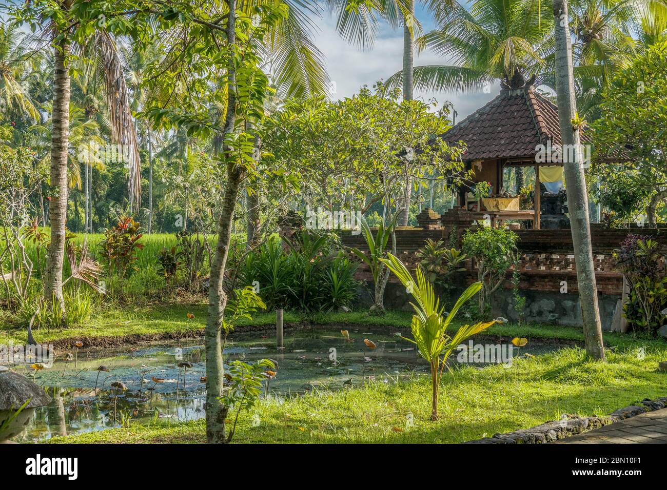 Balinese Resort with large trees and rustic buildings Stock Photo - Alamy