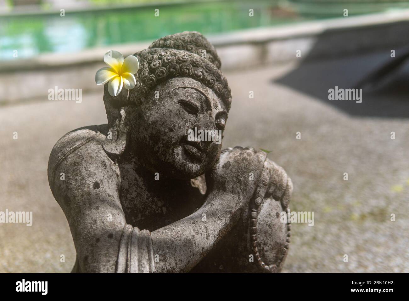 Grey Stone Statue with White and Yellow Flower in Ear in Bali Stock ...