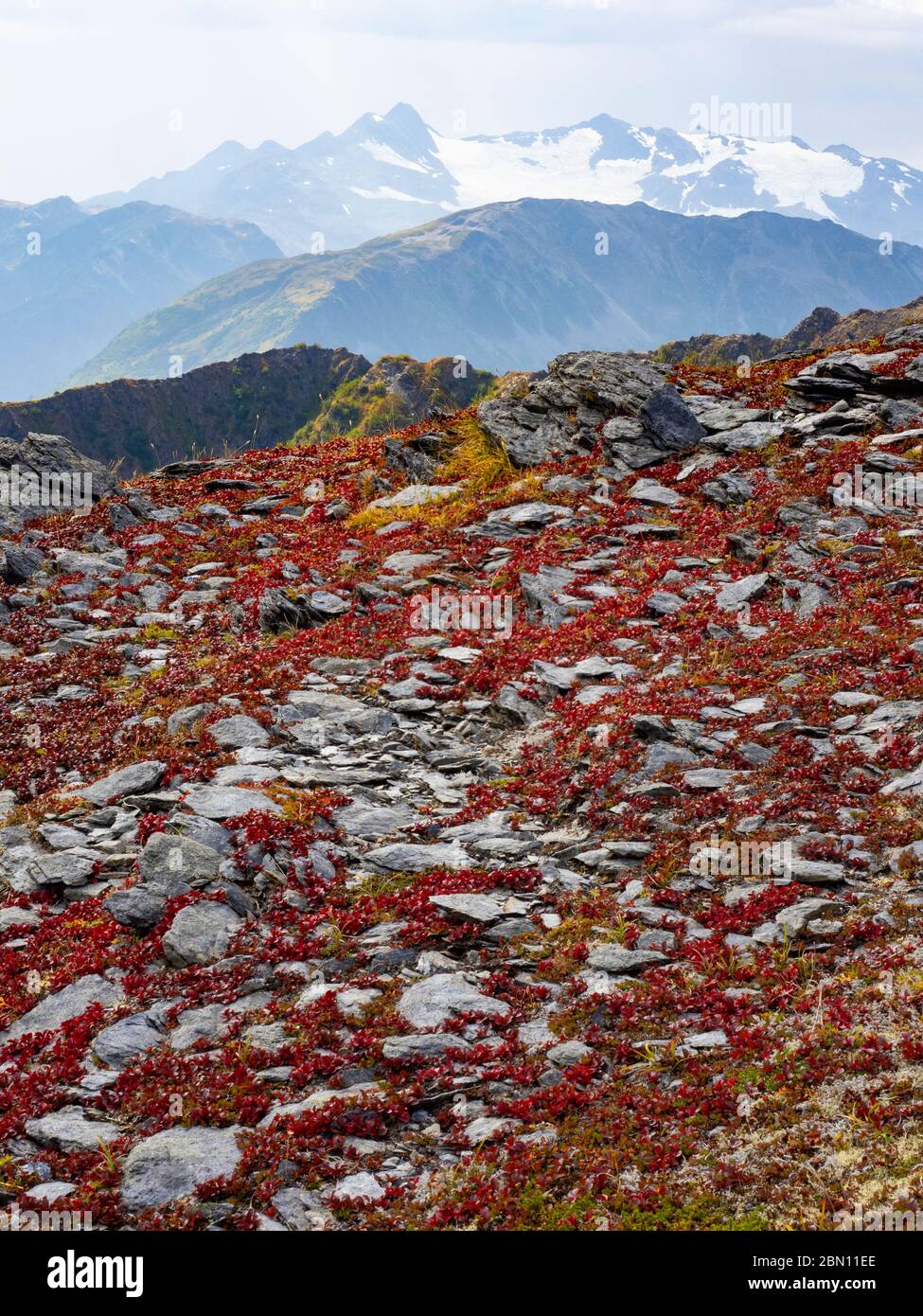Tundra landscape alaska hi-res stock photography and images - Alamy