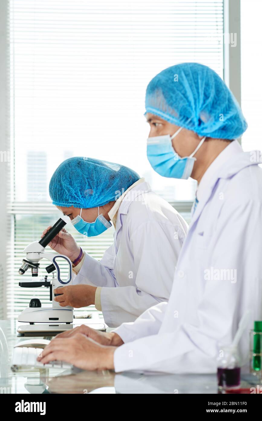 Laboratory technician looking through microscope when her colleague ...