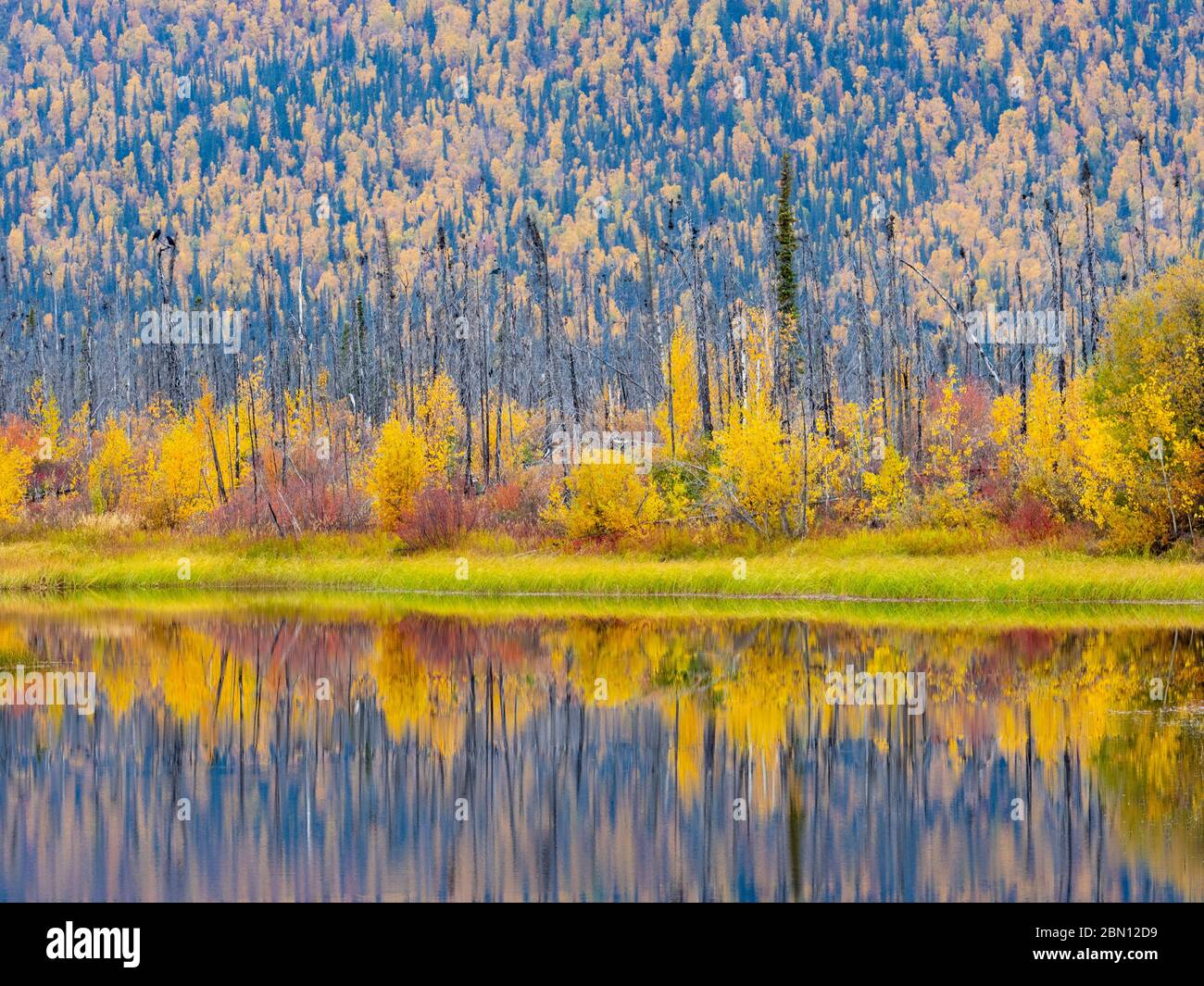 Autumn, Brooks Range, Arctic Alaska Stock Photo - Alamy