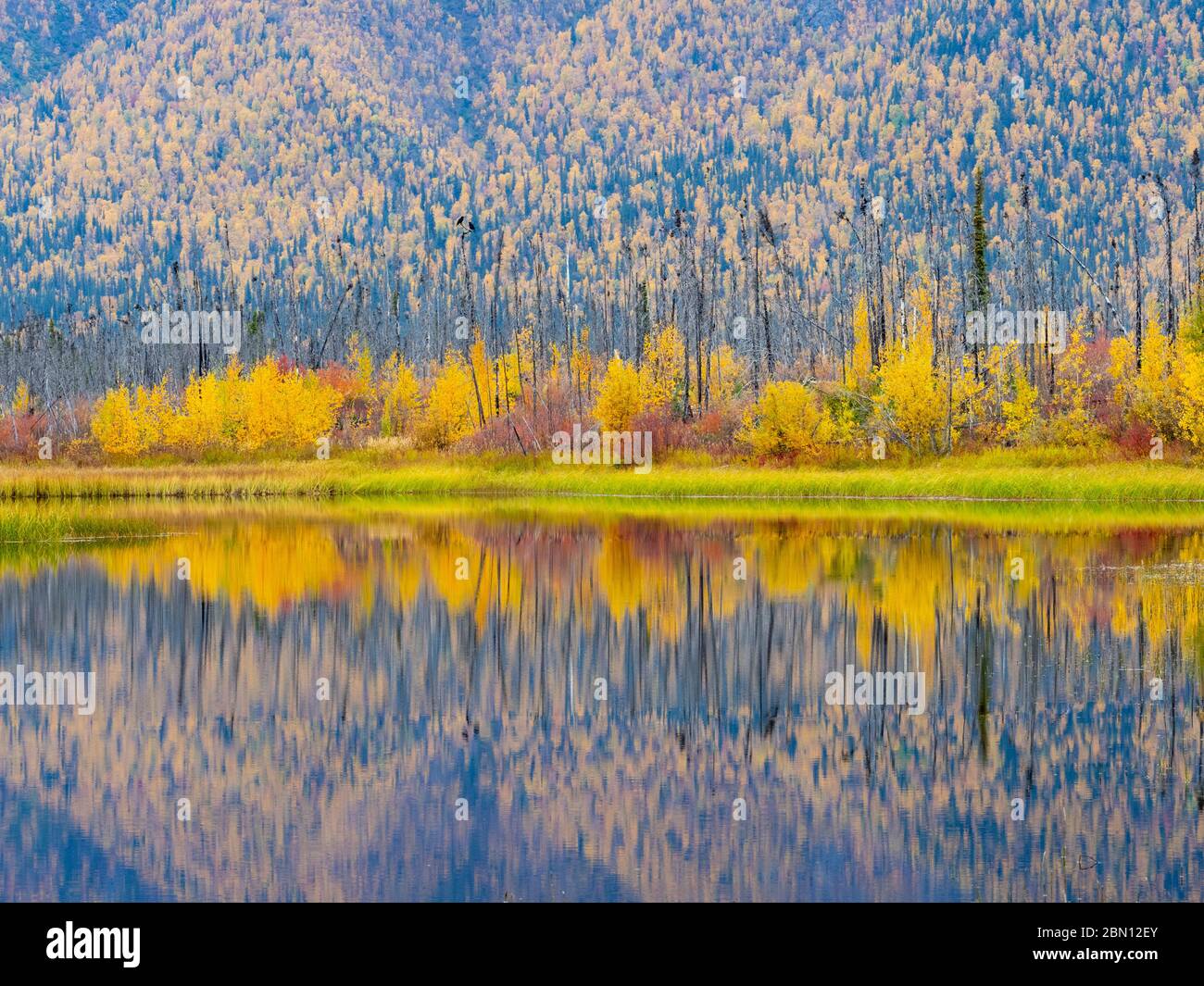 North slope brooks range hi-res stock photography and images - Alamy