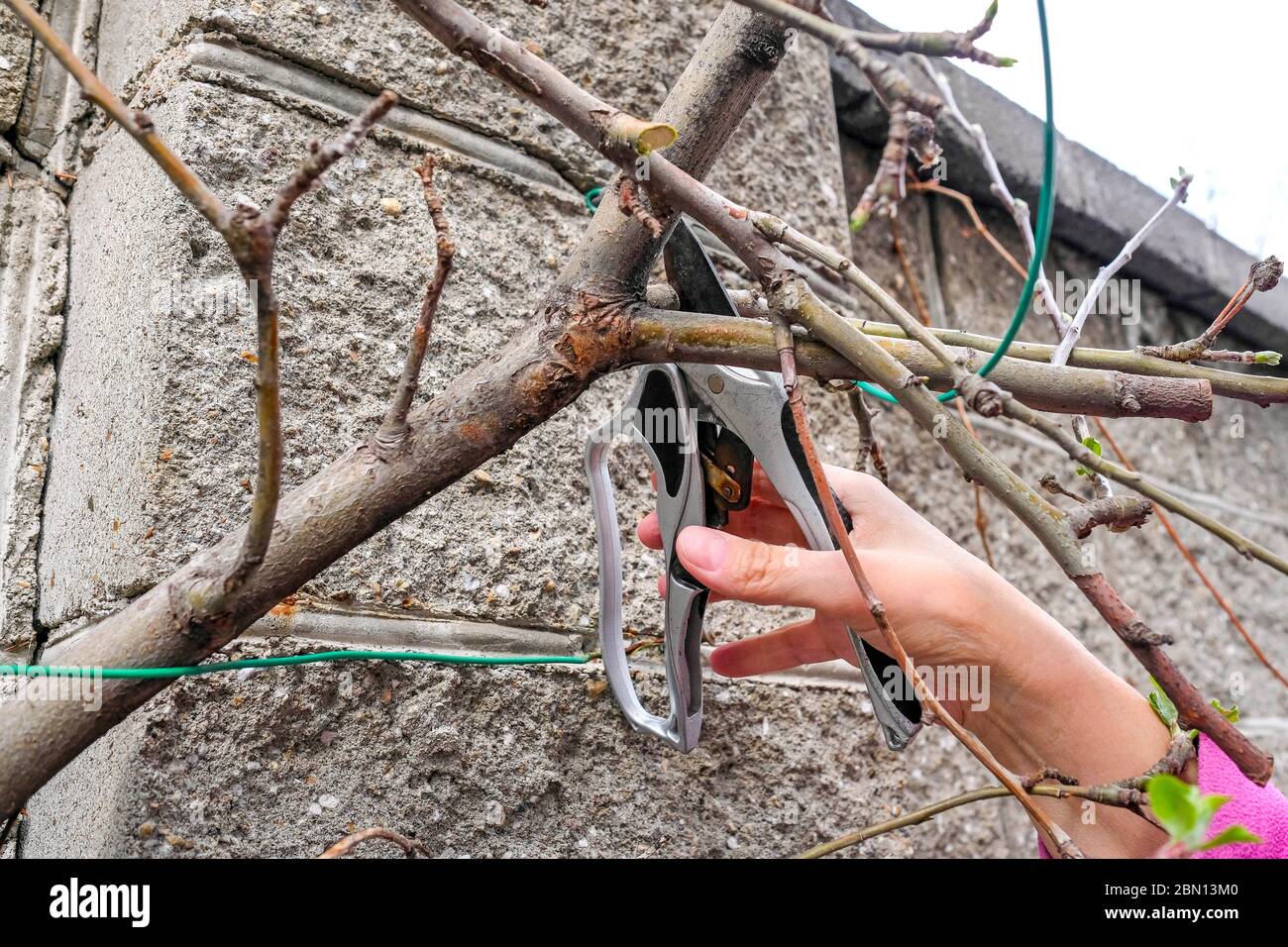 Hand cuts hi-res stock photography and images - Alamy