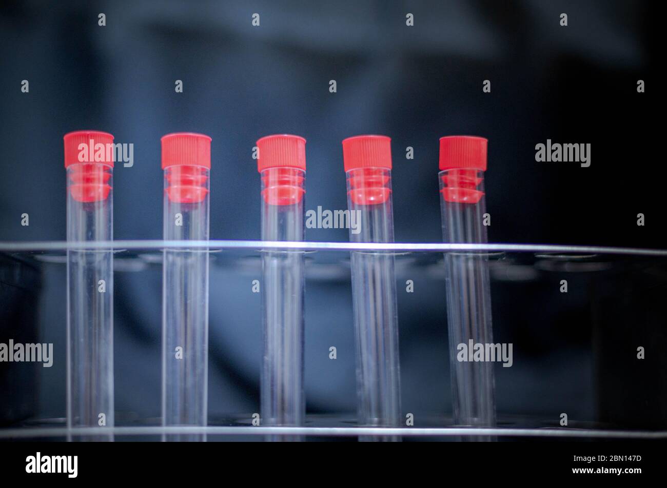 Rows of laboratory test tubes use for experiment scientist. For the ...