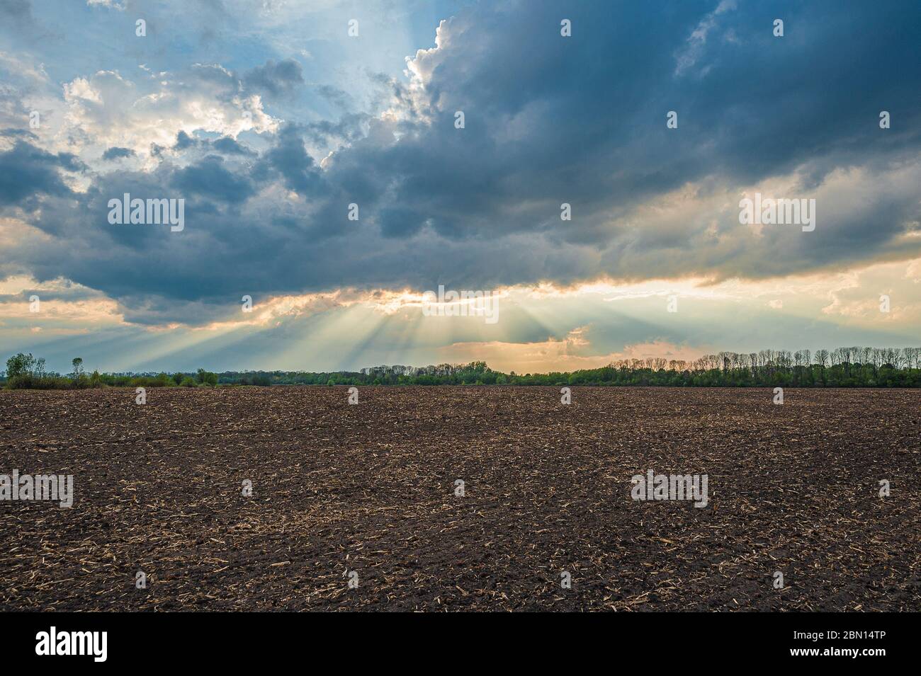 Chernozem hi-res stock photography and images - Alamy