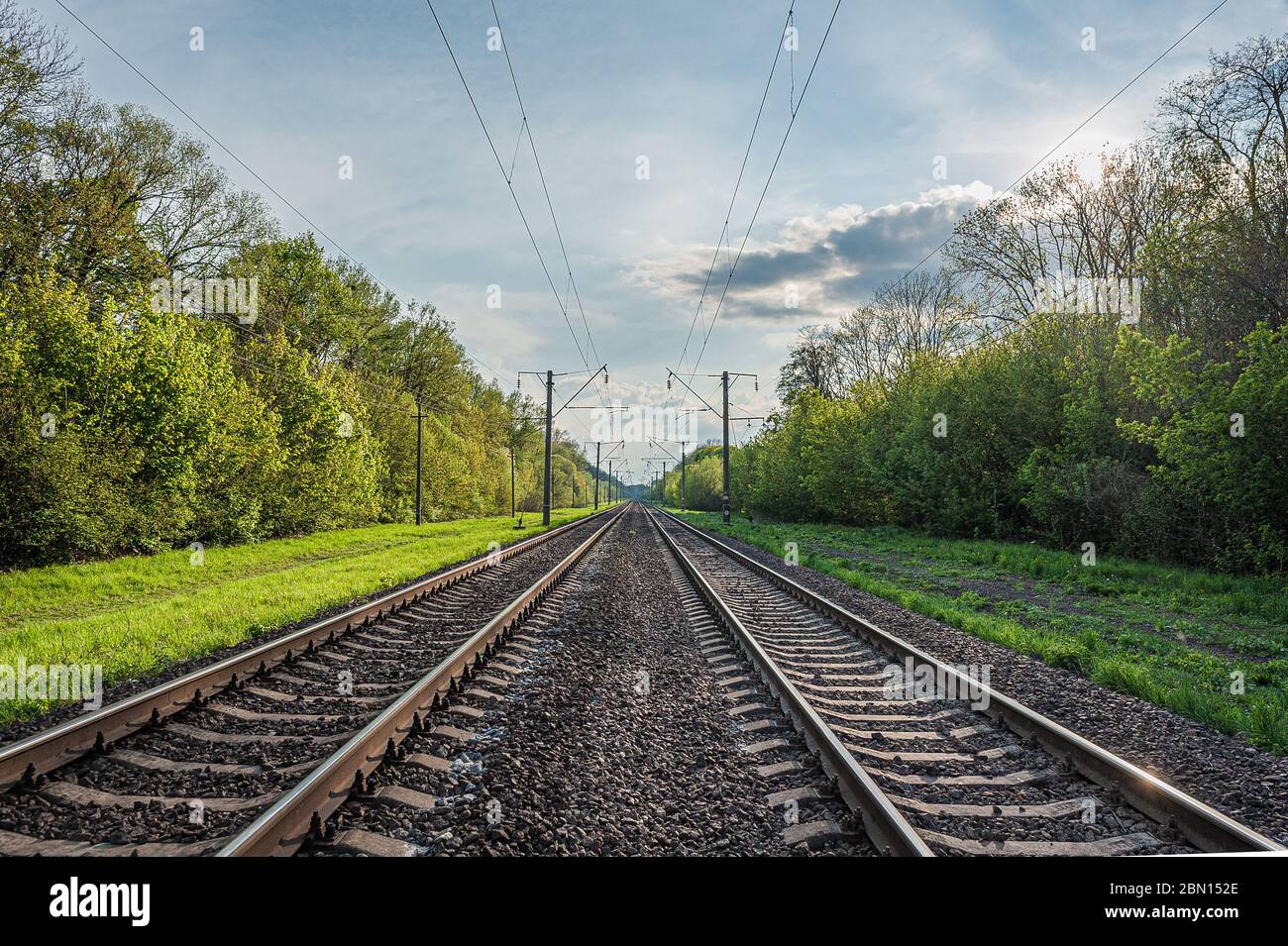 two railway tracks go into the distance in the middle of a green forest ...
