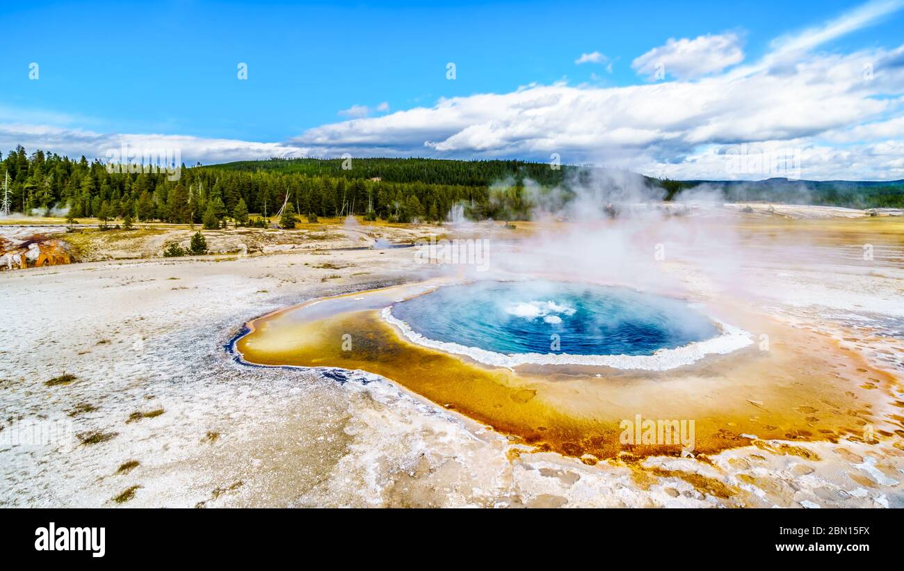 Steam coming out of the Crested Pool in the Upper Geyser Basin along ...