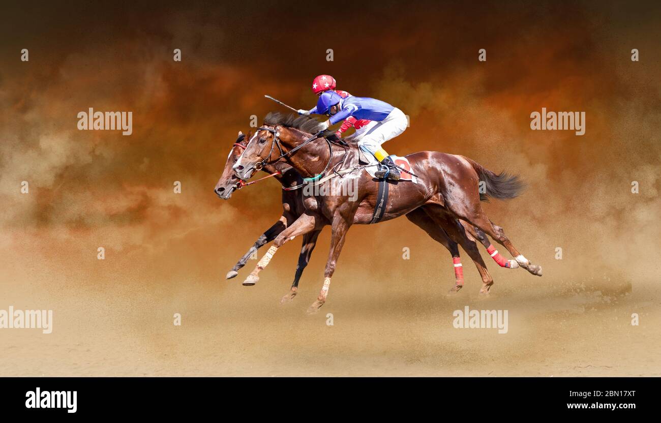 Two racing horses neck to neck in fierce competition for the finish ...