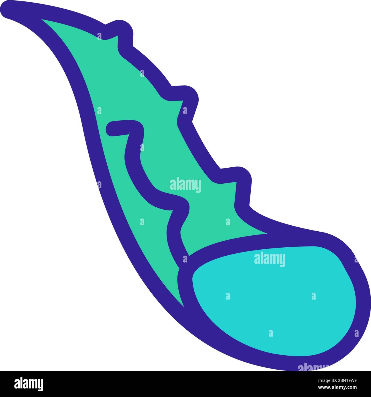 sliced aloe vera icon vector outline illustration Stock Vector Image ...