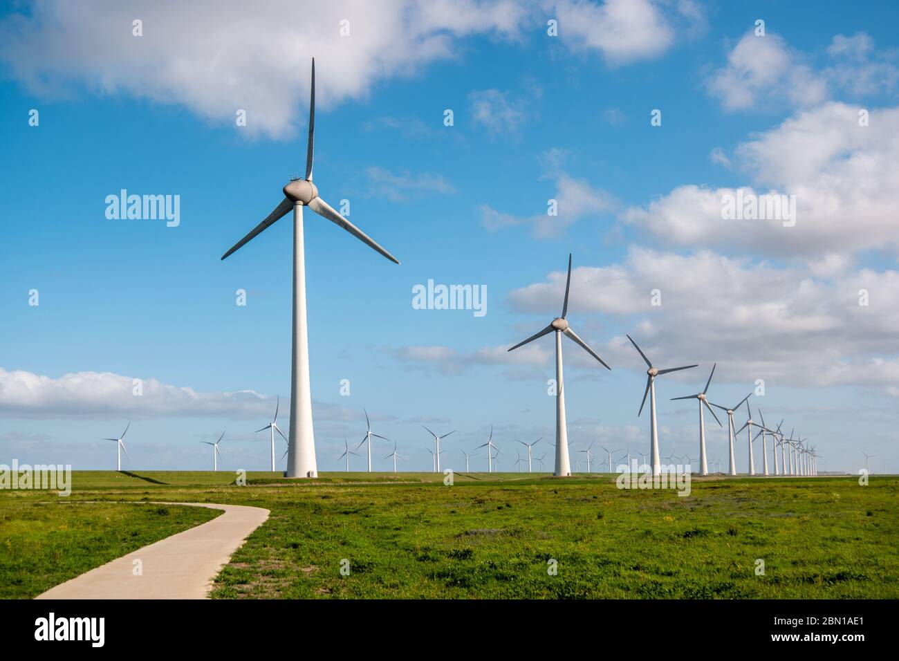 path by the dike to the huge windmill park with huge turbines in the ...