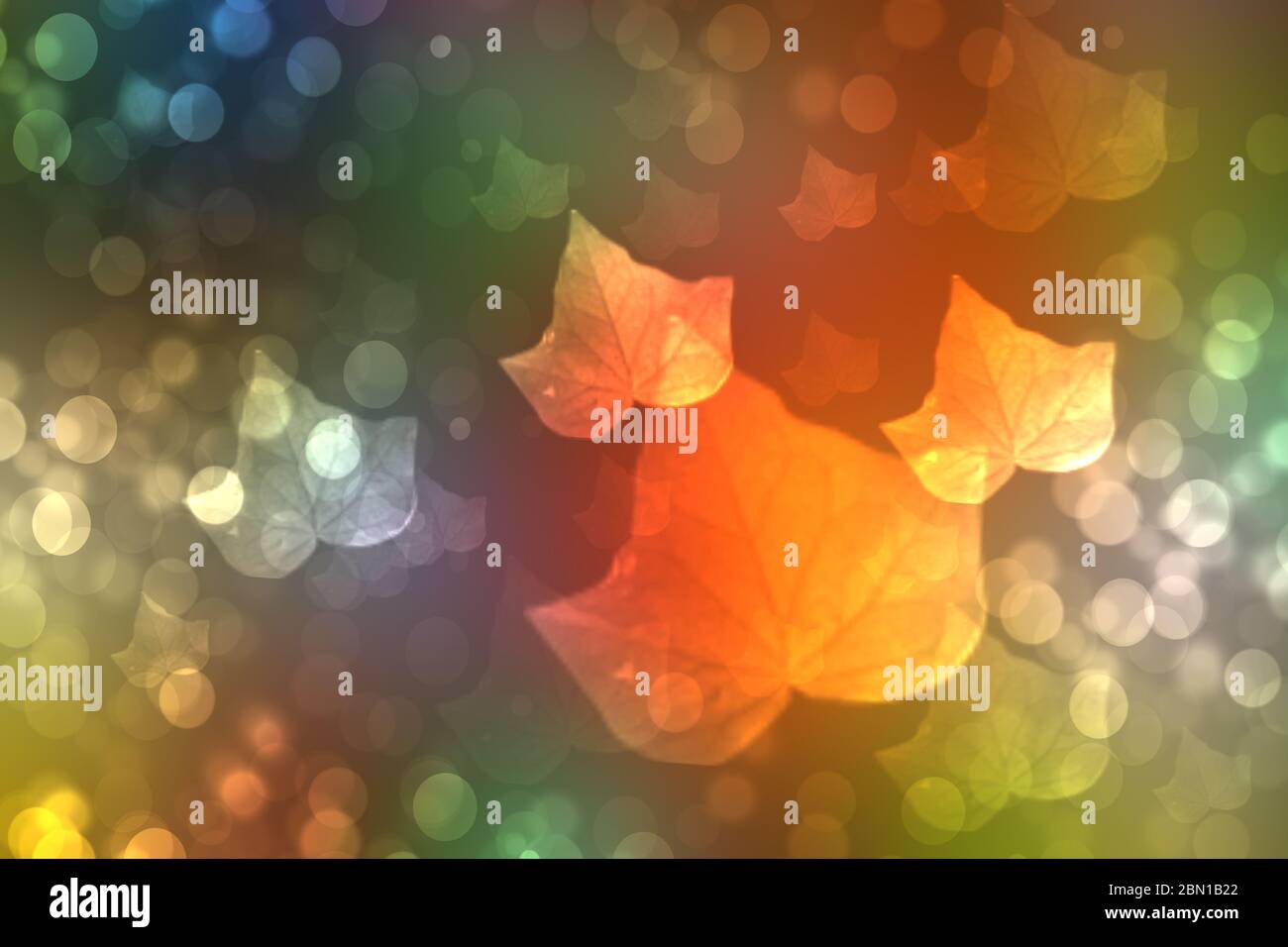 Fall Color Backgrounds Abstract