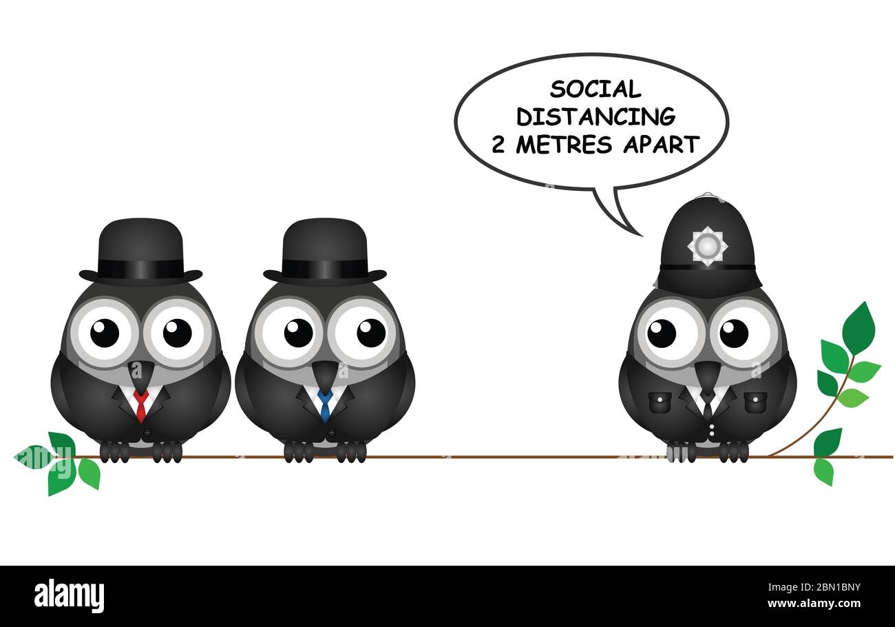 Comical bird social distancing message with UK spelling isolated on ...