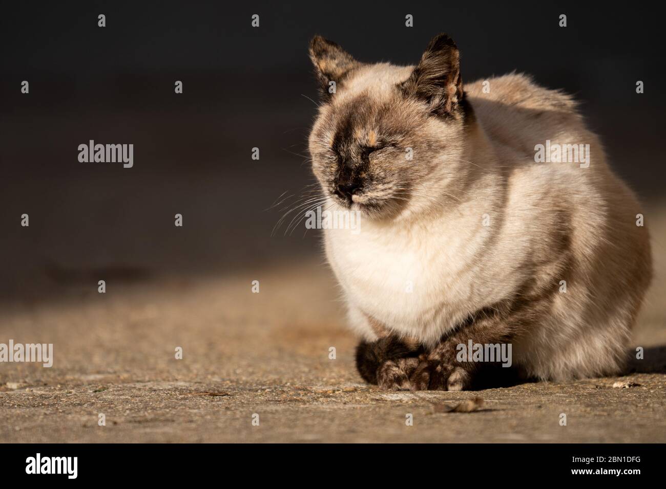 The shadow line hi-res stock photography and images - Alamy