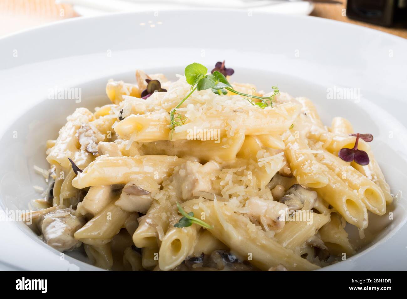 Prepared cooked penne pasta traditional italian dish with chicken and ...