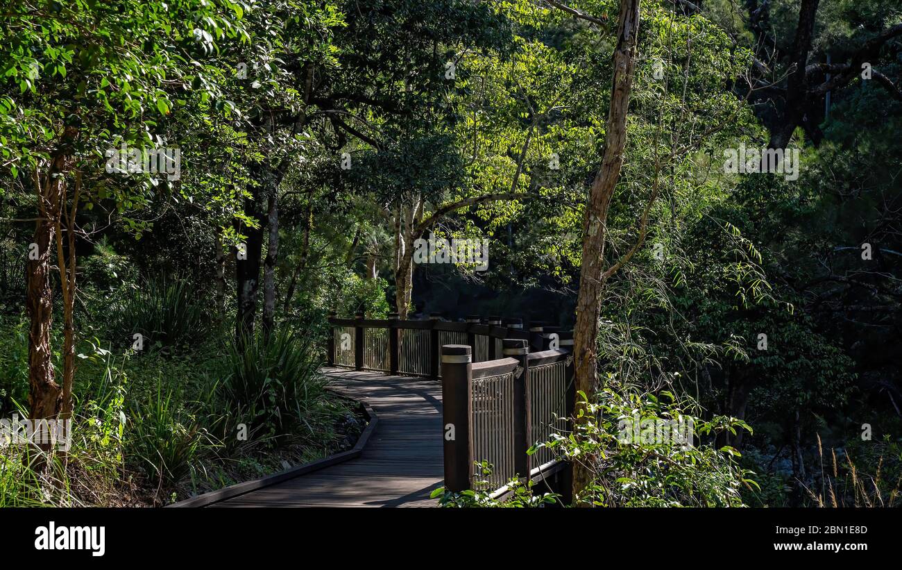 Photo of australian bushland hi-res stock photography and images - Alamy