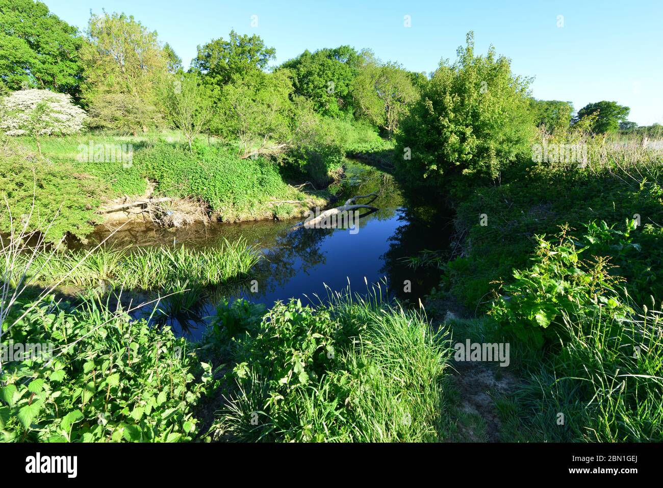 The River Mole in May in Horley in Surrey Stock Photo - Alamy