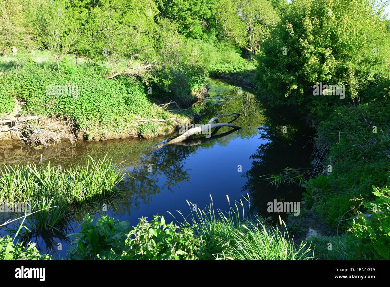 Mole uk spring hi-res stock photography and images - Alamy