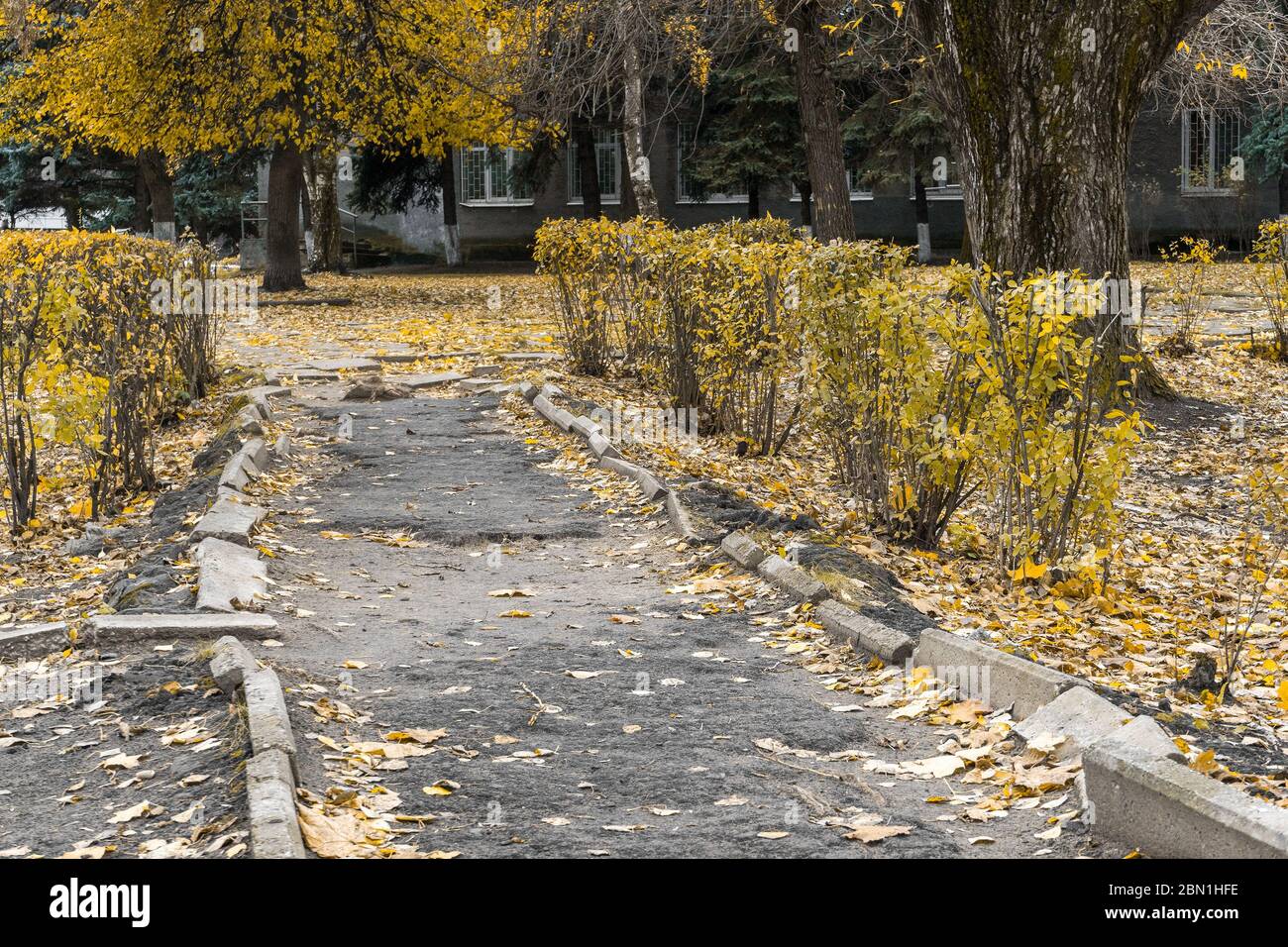 Urban landscape. Unenclosed territory of autumn Park. ruined pedestrian ...