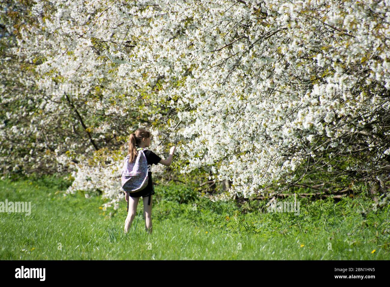 Exuberating hi-res stock photography and images - Alamy