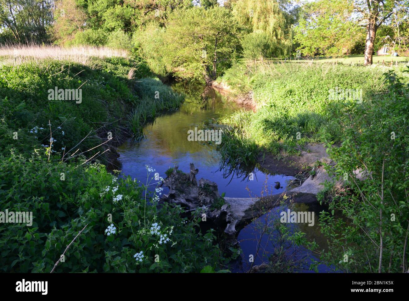 The River Mole in May in Horley in Surrey Stock Photo - Alamy