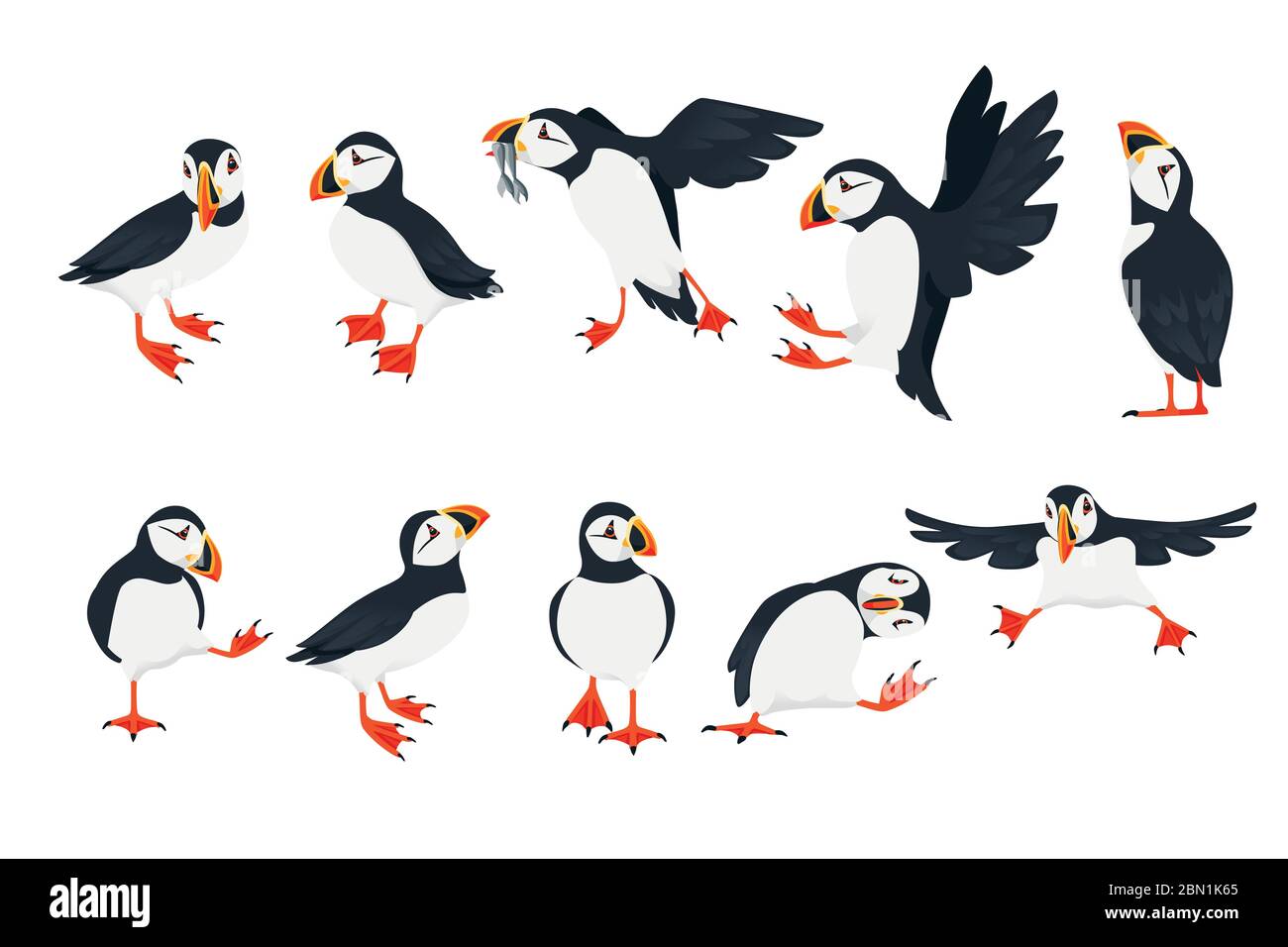 British puffin Stock Vector Images - Alamy