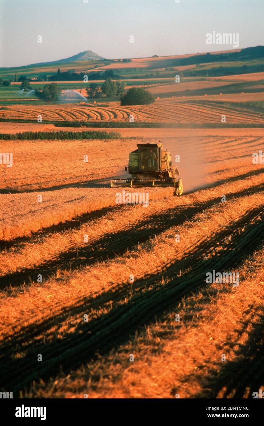 Combine harvester in a field. Auvergne. France Stock Photo - Alamy