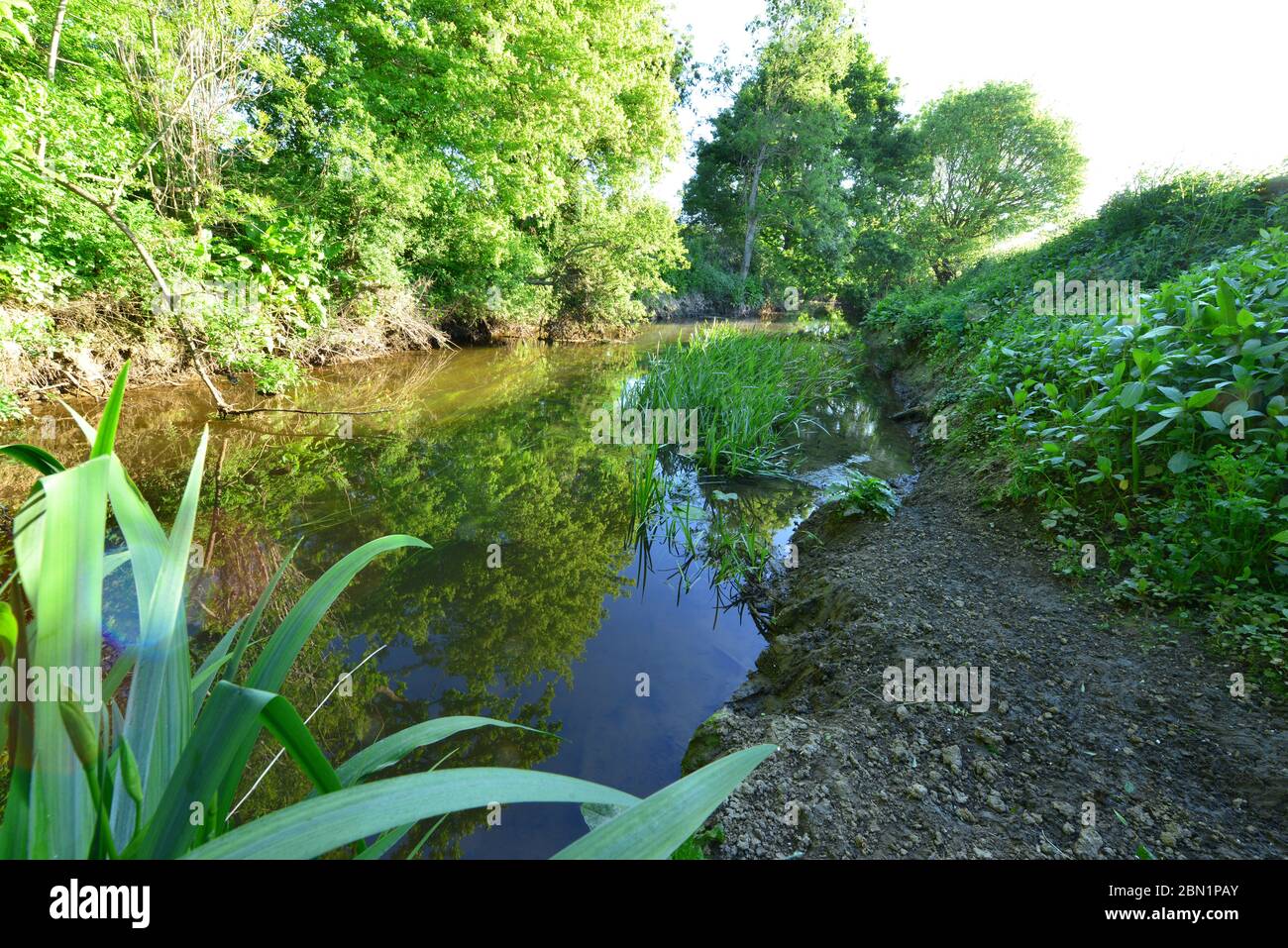 The River Mole in May in Horley in Surrey Stock Photo - Alamy