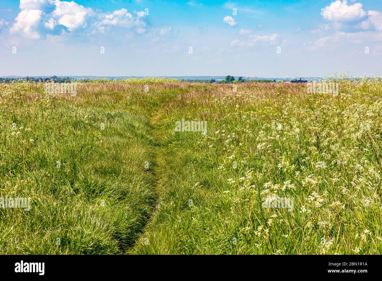 A foot trodden path winds its way through the wild flowers and grasses ...