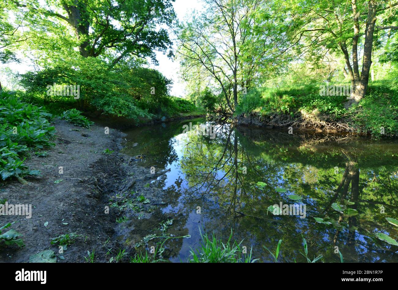 The River Mole in May in Horley in Surrey Stock Photo - Alamy