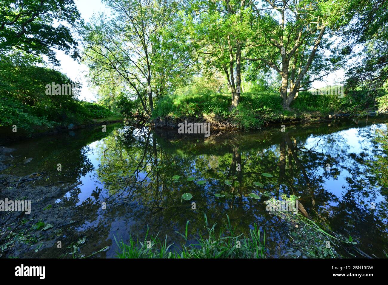 The River Mole in May in Horley in Surrey Stock Photo - Alamy