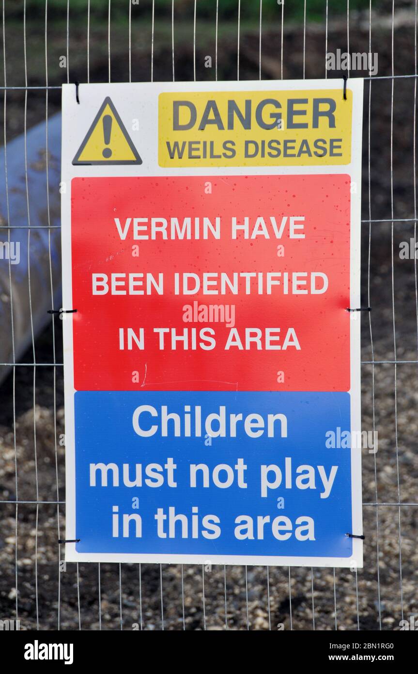 Rat Danger Zone Sign