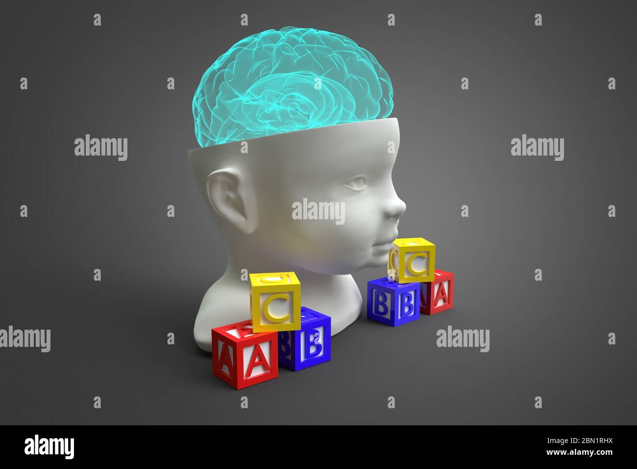 Model of the child's head and brain. Conceptual 3d illustration that ...