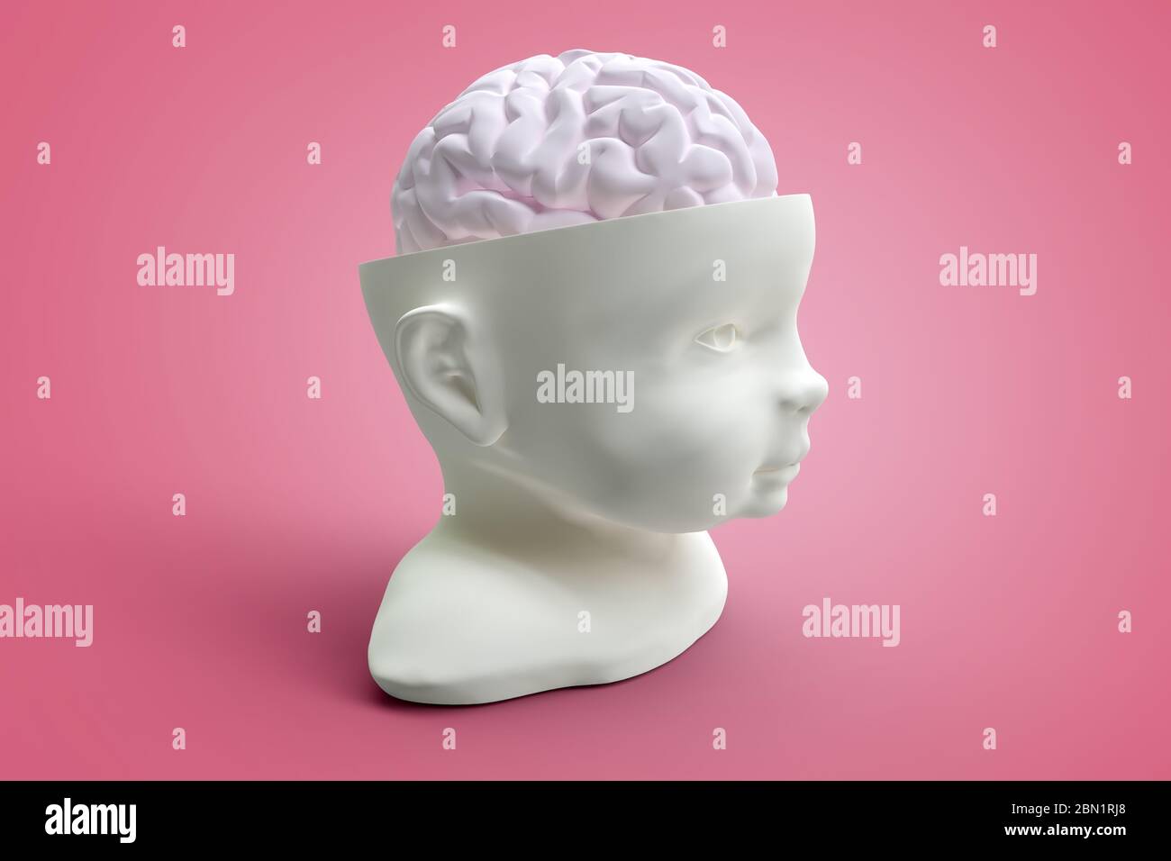 3d illustration of human brain over pink background with soft shadow ...