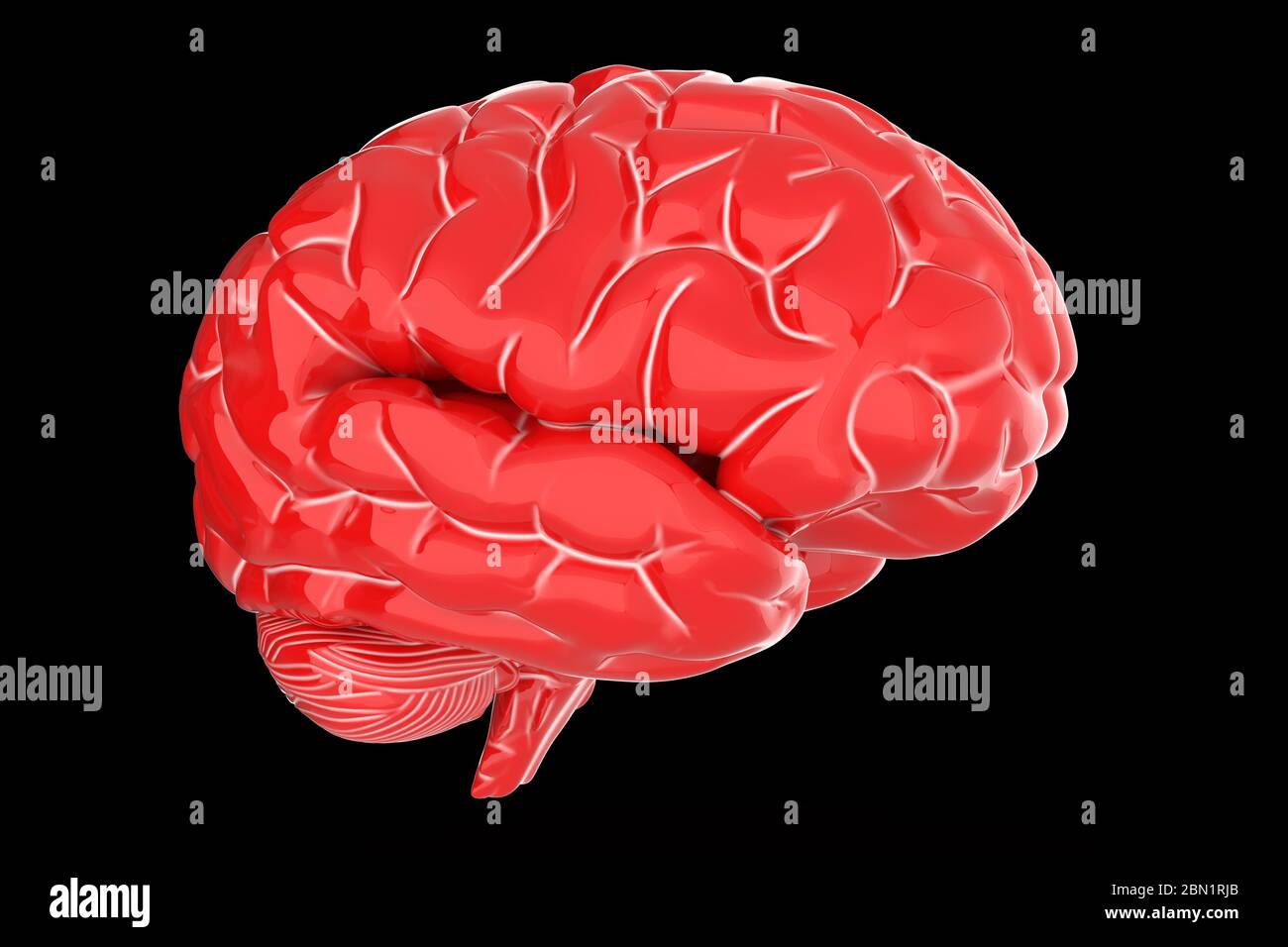 3d illustration of red human brain over dark background with soft ...