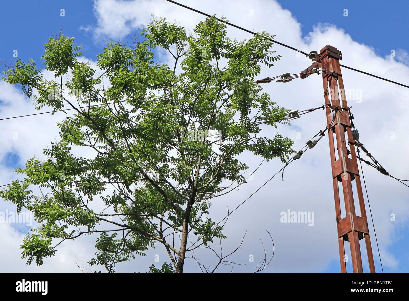 Aerial lead cables of the trolley car Stock Photo - Alamy