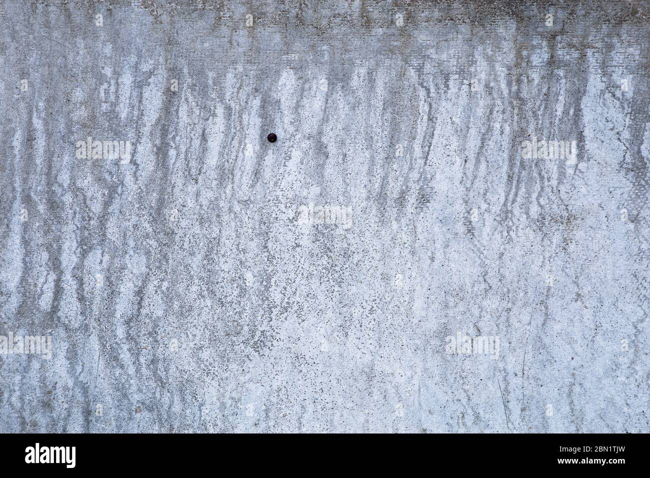 Grunge outdoor polished concrete texture, Cement and texture for ...