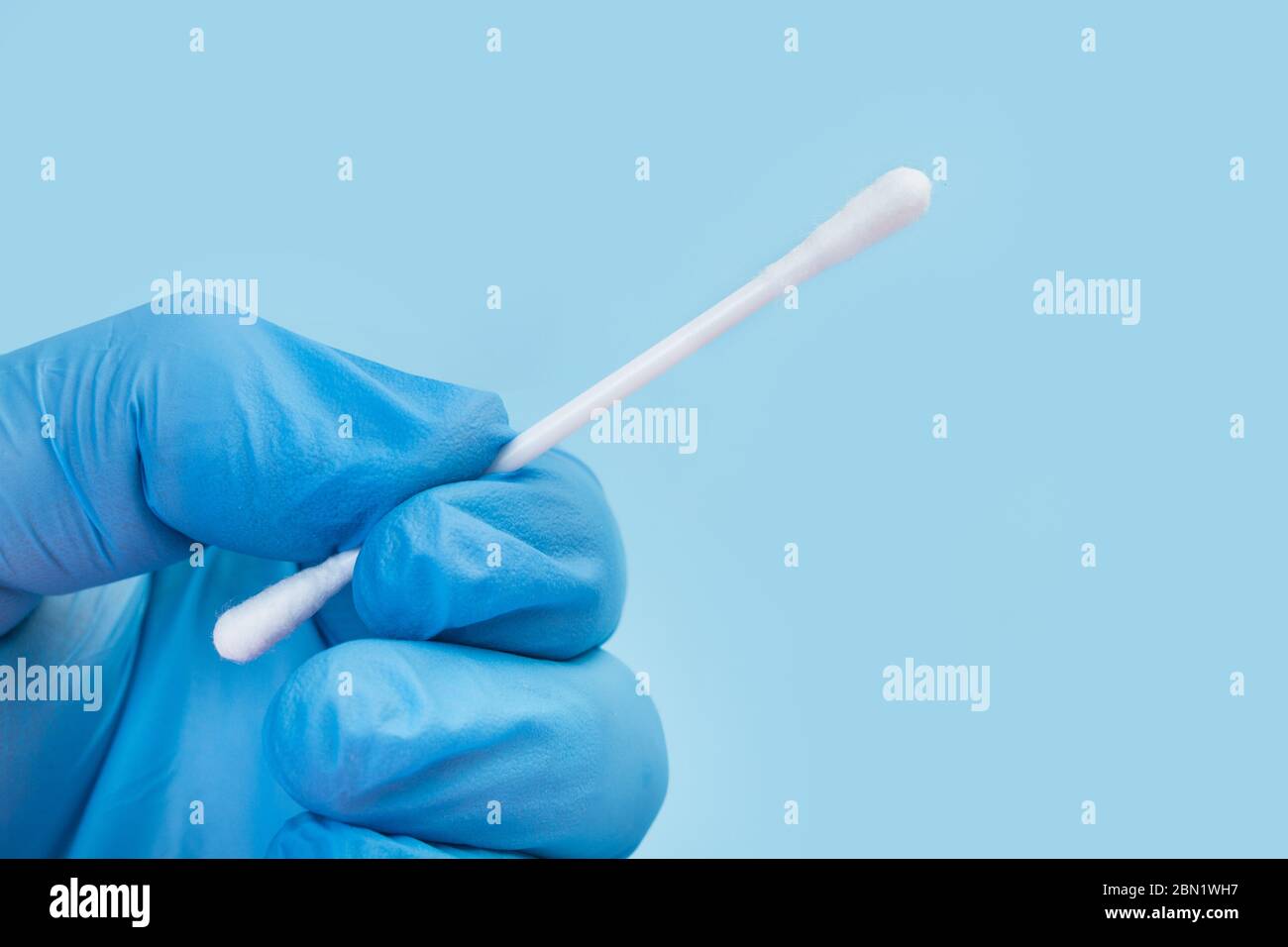 Hand with medical gloves holding a cotton swab on a light blue ...