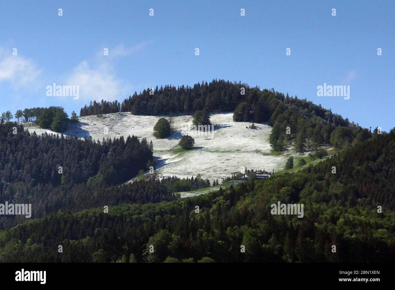 Hinterzarten, Germany. 12th May, 2020. There is a light layer of snow ...