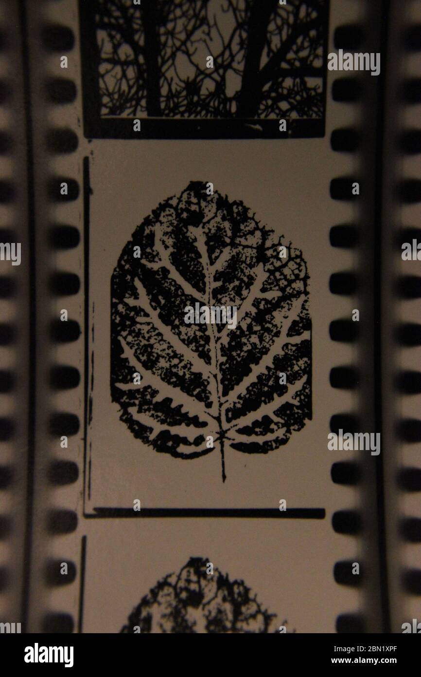 Fine 70s vintage contact print black and white extreme photography of a ...