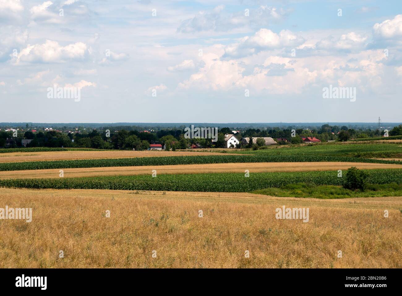 Rural Poland, view across farm fields to distant village in summer ...