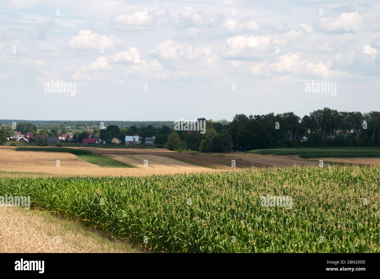 Rural Poland, summer view of farm fields and countryside Stock Photo ...
