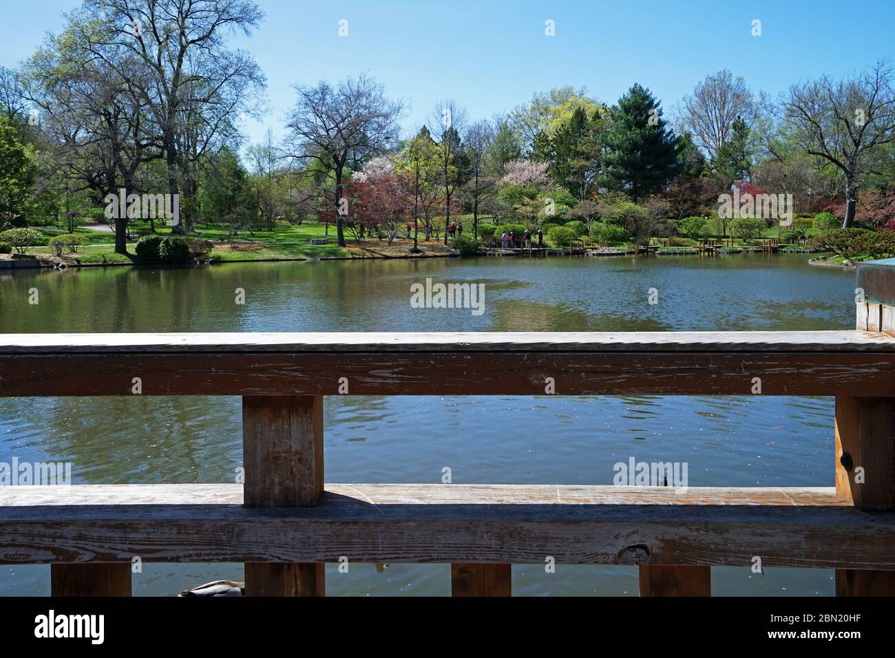 Traditional wooden bridge with garden arranged in Japanese Zen style at ...