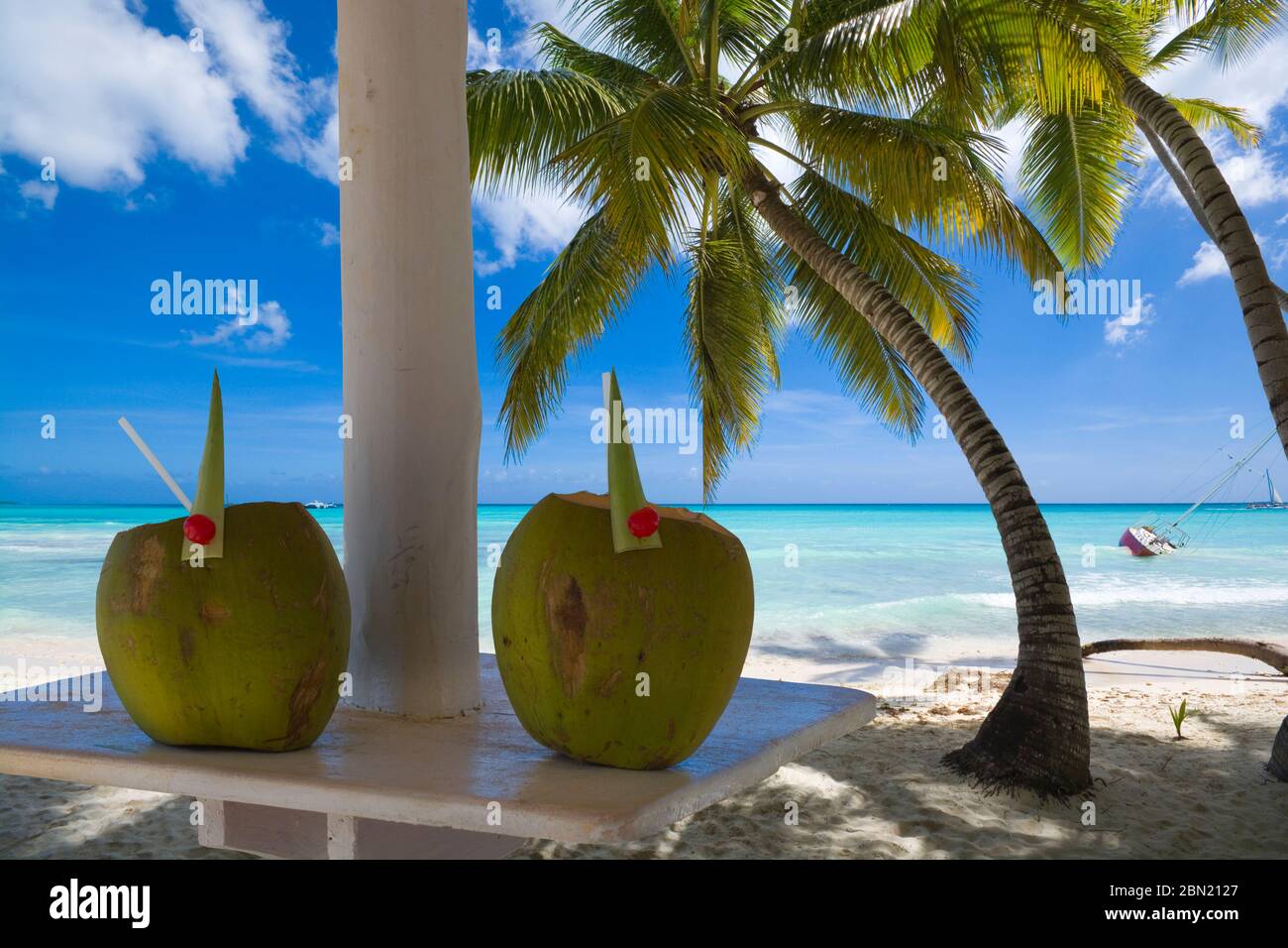 Coconut drinks on table under palm tree leaves umbrella on tropical ...