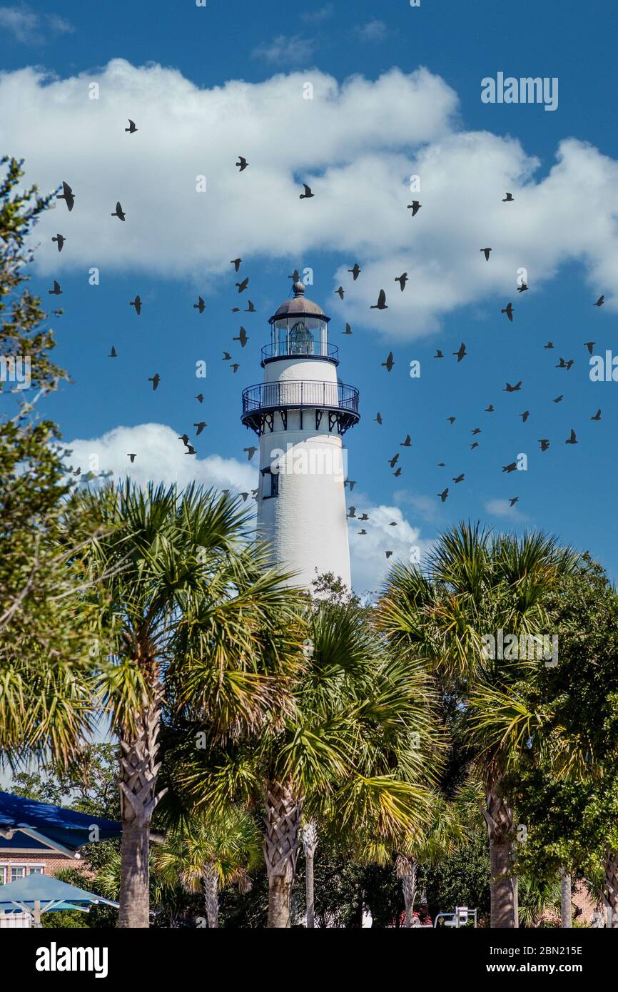 Lighthouse Rising from Palm Trees Stock Photo - Alamy